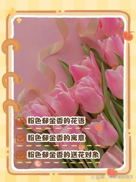 郁金香花语是什么_不同颜色寓意大全-第1张图片-山城妙识 郁金香花语是什么_不同颜色寓意大全-第1张图片-山城妙识