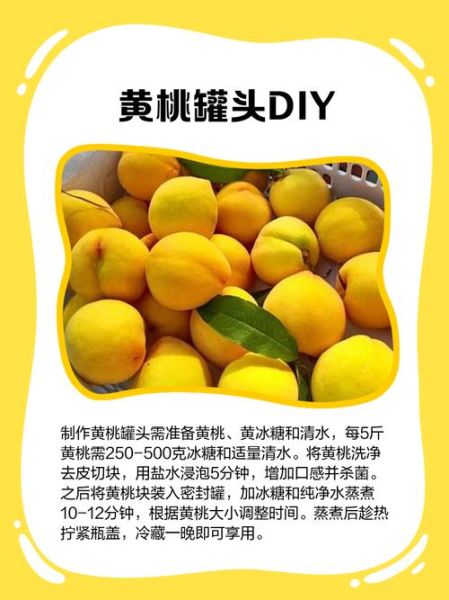 自制桃子罐头怎么做_桃子罐头能保存多久-第3张图片-山城妙识 自制桃子罐头怎么做_桃子罐头能保存多久-第3张图片-山城妙识
