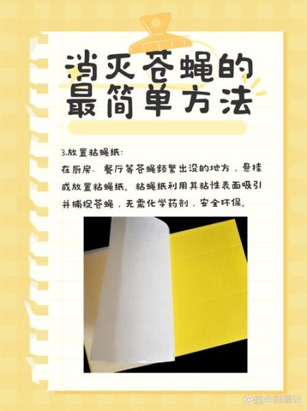 苍蝇怎么消灭_家里苍蝇多怎么办-第2张图片-山城妙识