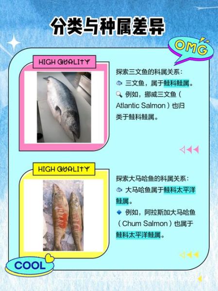 大马哈鱼和三文鱼有什么区别_哪个更好吃-第1张图片-山城妙识