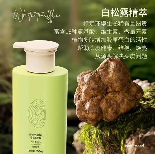 白松露洗发水能防脱发吗_白松露洗发水适合什么发质-第1张图片-山城妙识 白松露洗发水能防脱发吗_白松露洗发水适合什么发质-第1张图片-山城妙识
