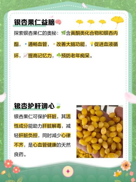 吃银杏果的禁忌_哪些人不能吃银杏果-第2张图片-山城妙识 吃银杏果的禁忌_哪些人不能吃银杏果-第2张图片-山城妙识
