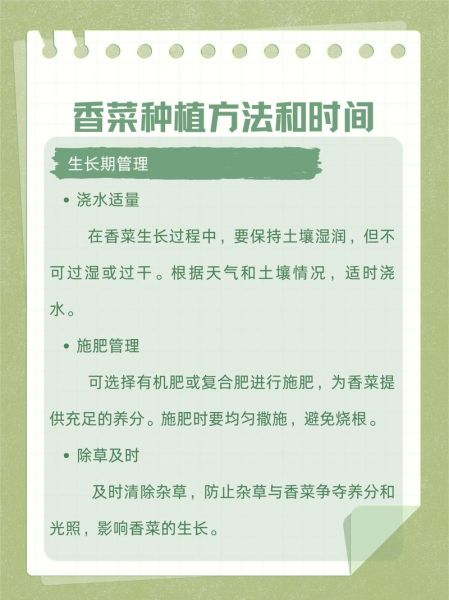 香菜怎么种植_香菜种植步骤图解-第2张图片-山城妙识 香菜怎么种植_香菜种植步骤图解-第2张图片-山城妙识