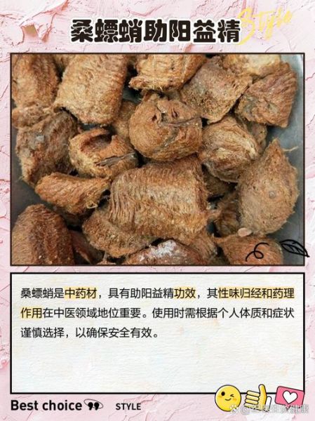 桑螵蛸泡水喝的功效_桑螵蛸泡水适合什么人喝-第1张图片-山城妙识