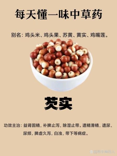 芡实怎么吃最补肾_芡实一天吃多少粒最好-第1张图片-山城妙识 芡实怎么吃最补肾_芡实一天吃多少粒最好-第1张图片-山城妙识