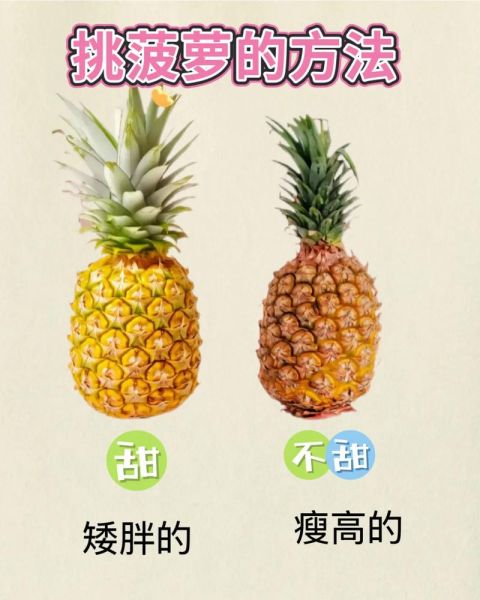 菠萝怎么挑选_菠萝怎么吃才不上火-第1张图片-山城妙识 菠萝怎么挑选_菠萝怎么吃才不上火-第1张图片-山城妙识