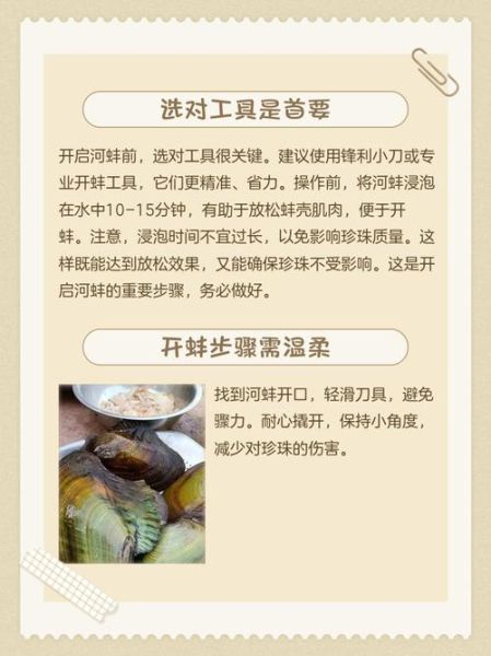 河蚌怎么清理图解_河蚌肉的做法大全-第1张图片-山城妙识