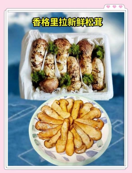 鲜松茸怎么做好吃_鲜松茸的做法大全-第3张图片-山城妙识