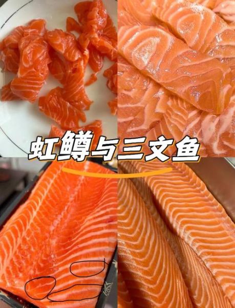 鳟怎么读_鳟鱼是什么鱼-第1张图片-山城妙识