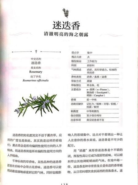 迷迭香精油的功效与作用_迷迭香精油怎么用-第2张图片-山城妙识