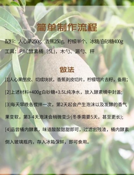 人心果的功效与作用_人心果怎么吃最好-第2张图片-山城妙识