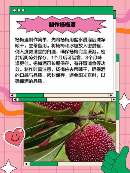 新鲜杨梅怎么腌制好吃_杨梅腌制方法步骤-第1张图片-山城妙识