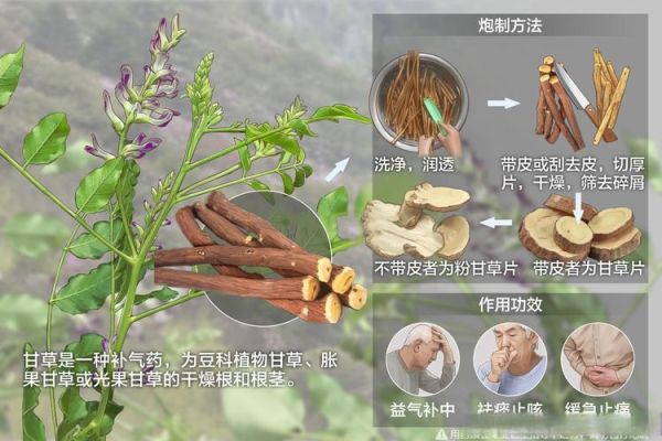 甘草的功效与作用及食用方法_甘草怎么吃效果最好-第1张图片-山城妙识