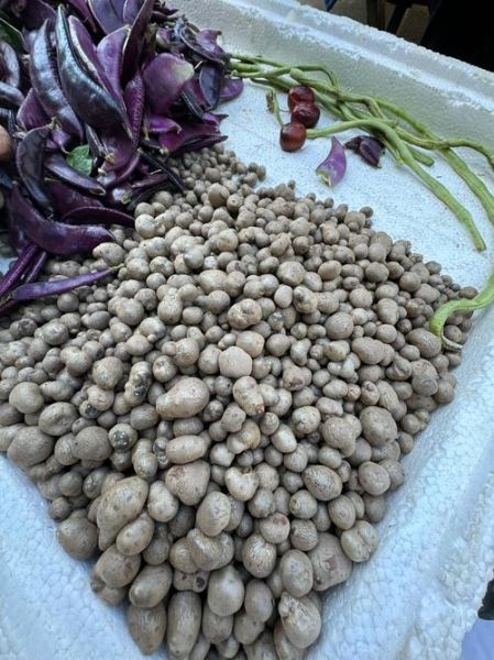 山药豆孩子吃多了中毒_怎么办-第2张图片-山城妙识 山药豆孩子吃多了中毒_怎么办-第2张图片-山城妙识