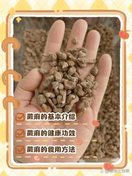 蕨麻图片长什么样_蕨麻的功效与作用-第1张图片-山城妙识 蕨麻图片长什么样_蕨麻的功效与作用-第1张图片-山城妙识