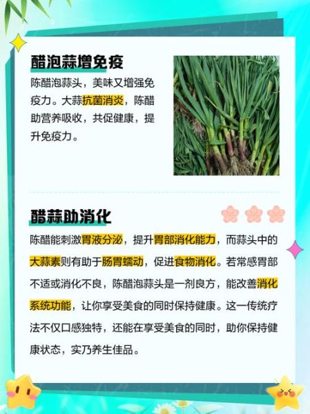 醋泡大蒜哪些人不能吃_醋泡大蒜禁忌人群-第2张图片-山城妙识 醋泡大蒜哪些人不能吃_醋泡大蒜禁忌人群-第2张图片-山城妙识