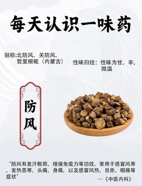防风的功效与作用_防风有哪些副作用-第1张图片-山城妙识 防风的功效与作用_防风有哪些副作用-第1张图片-山城妙识