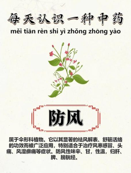 防风的功效与作用_防风有哪些副作用-第3张图片-山城妙识 防风的功效与作用_防风有哪些副作用-第3张图片-山城妙识