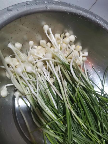 野葱图片作用与用途_野葱图片能做什么-第3张图片-山城妙识