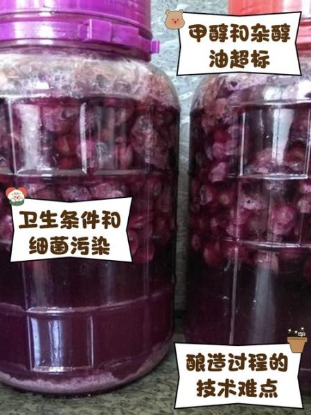 自酿葡萄酒加热去甲醇_加热能去甲醇吗-第2张图片-山城妙识 自酿葡萄酒加热去甲醇_加热能去甲醇吗-第2张图片-山城妙识