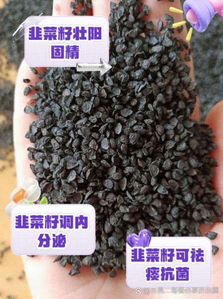 韭菜籽的副作用_韭菜籽的禁忌人群-第1张图片-山城妙识