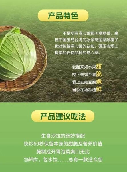高丽菜可以生吃吗_生吃高丽菜安全吗-第1张图片-山城妙识