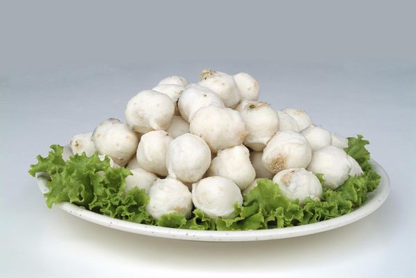 做鱼丸用什么淀粉最好_木薯粉和土豆粉哪个更弹-第3张图片-山城妙识