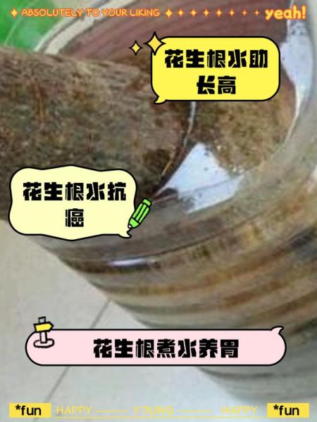 花生根的功效与作用_花生根怎么吃效果最好-第3张图片-山城妙识