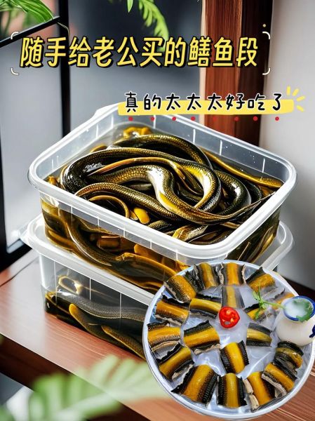 黄鳝怎么处理干净_黄鳝去粘液方法-第3张图片-山城妙识 黄鳝怎么处理干净_黄鳝去粘液方法-第3张图片-山城妙识