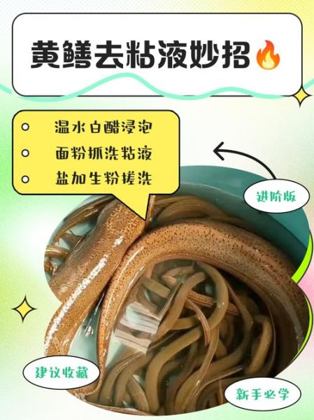 黄鳝怎么处理干净_黄鳝去粘液方法-第1张图片-山城妙识 黄鳝怎么处理干净_黄鳝去粘液方法-第1张图片-山城妙识
