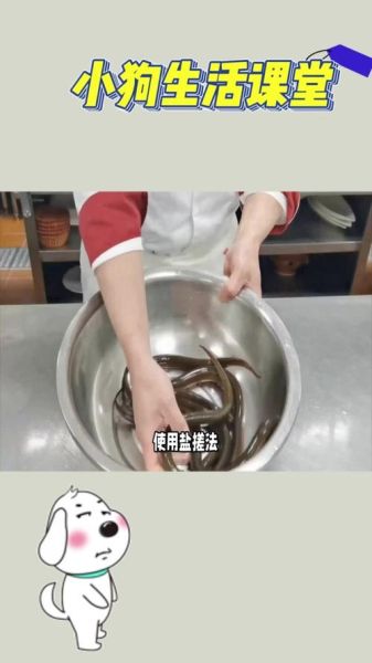 黄鳝怎么处理干净_黄鳝去粘液方法-第2张图片-山城妙识 黄鳝怎么处理干净_黄鳝去粘液方法-第2张图片-山城妙识