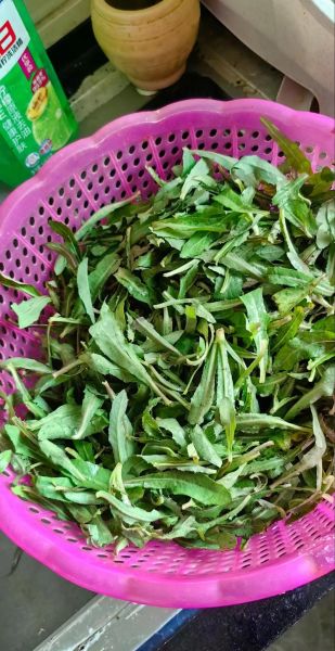 荠荠菜怎么吃_荠荠菜的家常做法大全-第3张图片-山城妙识