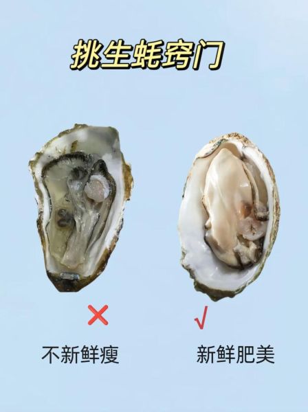 生蚝怎么挑选新鲜_生蚝图片实拍怎么看-第2张图片-山城妙识 生蚝怎么挑选新鲜_生蚝图片实拍怎么看-第2张图片-山城妙识