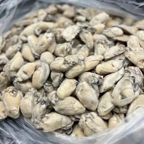 生蚝怎么挑选新鲜_生蚝图片实拍怎么看-第3张图片-山城妙识 生蚝怎么挑选新鲜_生蚝图片实拍怎么看-第3张图片-山城妙识