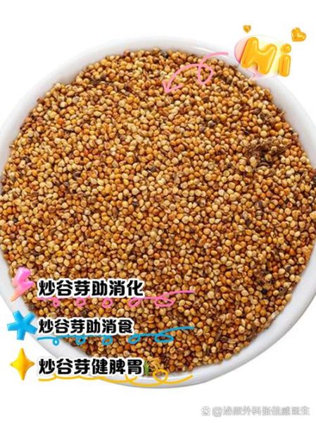 炒谷芽的功效与作用及禁忌_什么人不能吃-第1张图片-山城妙识 炒谷芽的功效与作用及禁忌_什么人不能吃-第1张图片-山城妙识