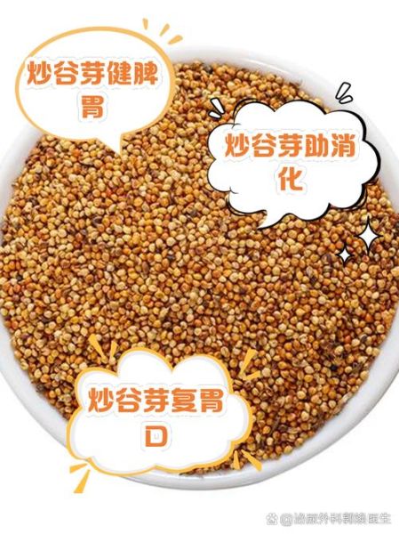 炒谷芽的功效与作用及禁忌_什么人不能吃-第2张图片-山城妙识 炒谷芽的功效与作用及禁忌_什么人不能吃-第2张图片-山城妙识