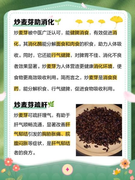 炒谷芽的功效与作用及禁忌_什么人不能吃-第3张图片-山城妙识 炒谷芽的功效与作用及禁忌_什么人不能吃-第3张图片-山城妙识