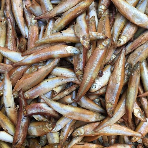 黄瓜鱼一斤多少钱_今日最新批发价-第2张图片-山城妙识