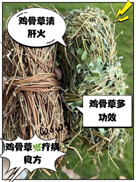 鸡骨草治疗肝硬化有效吗_真实案例分享-第2张图片-山城妙识