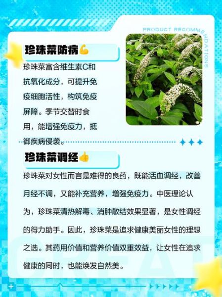 珍珠菜的功效与作用_珍珠菜图片长什么样-第1张图片-山城妙识