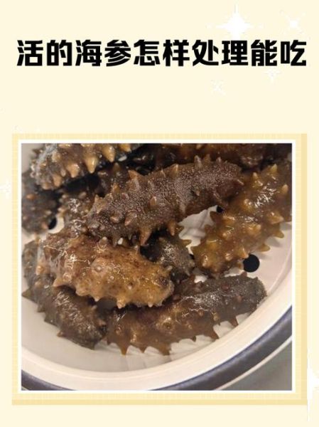 鲜海参怎么处理_鲜海参怎么吃最好-第2张图片-山城妙识