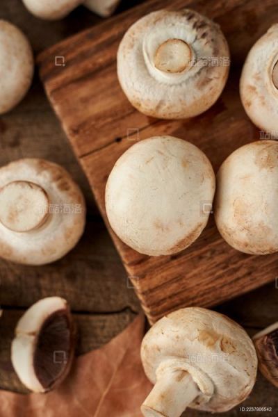 草菇图片大全大图_草菇高清图鉴怎么拍-第2张图片-山城妙识