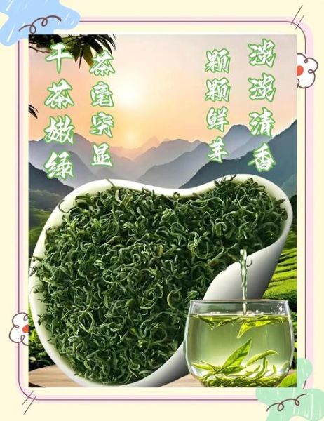 日照绿茶十大名牌有哪些_如何挑选正宗日照绿茶-第1张图片-山城妙识 日照绿茶十大名牌有哪些_如何挑选正宗日照绿茶-第1张图片-山城妙识