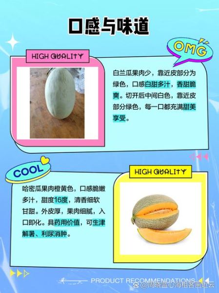 白兰瓜和哈密瓜的区别_哪个更好吃-第1张图片-山城妙识 白兰瓜和哈密瓜的区别_哪个更好吃-第1张图片-山城妙识