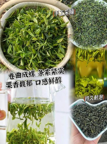 日照绿茶十大名牌有哪些_如何挑选正宗日照绿茶-第2张图片-山城妙识 日照绿茶十大名牌有哪些_如何挑选正宗日照绿茶-第2张图片-山城妙识