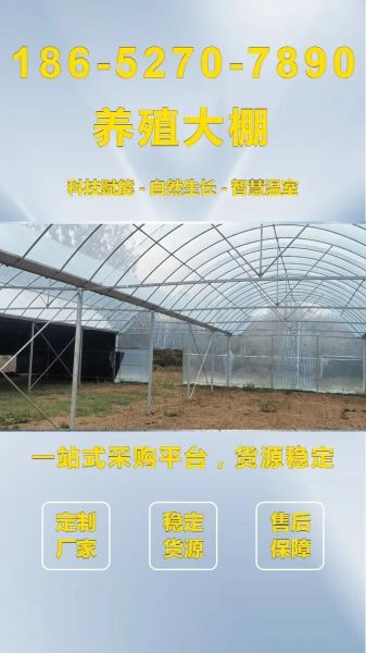 蔬菜大棚造价多少钱一平_蔬菜大棚造价预算明细-第2张图片-山城妙识 蔬菜大棚造价多少钱一平_蔬菜大棚造价预算明细-第2张图片-山城妙识
