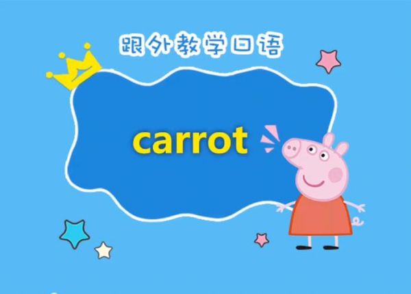 胡萝卜英语怎么说_胡萝卜英文发音-第2张图片-山城妙识 胡萝卜英语怎么说_胡萝卜英文发音-第2张图片-山城妙识