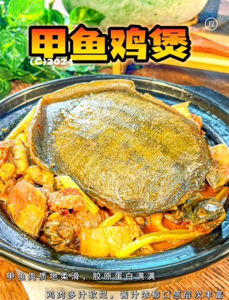 甲鱼炖鸡的做法步骤图_甲鱼炖鸡怎么炖不腥-第1张图片-山城妙识 甲鱼炖鸡的做法步骤图_甲鱼炖鸡怎么炖不腥-第1张图片-山城妙识