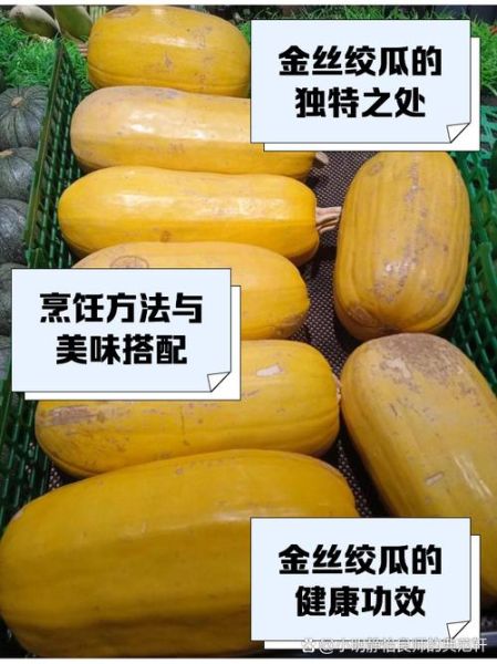 金丝绞瓜多少钱一斤_金丝绞瓜价格行情-第1张图片-山城妙识 金丝绞瓜多少钱一斤_金丝绞瓜价格行情-第1张图片-山城妙识