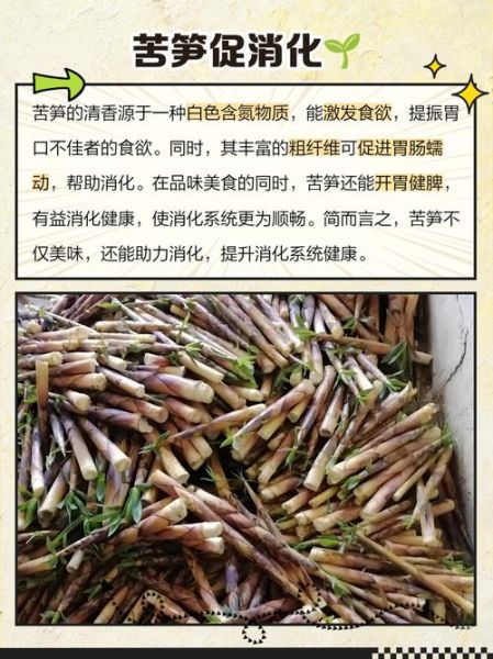 苦笋的功效与作用_苦笋怎么吃不上火-第1张图片-山城妙识 苦笋的功效与作用_苦笋怎么吃不上火-第1张图片-山城妙识